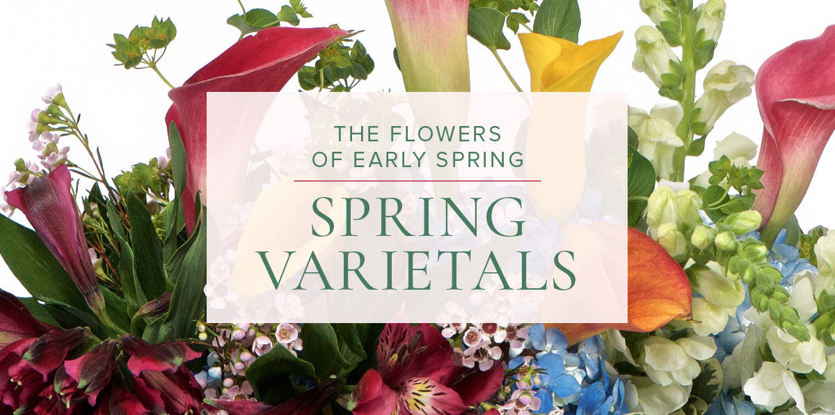Spring Into These Centerpieces - Rose Hill Flowers - Rose Hill Flowers