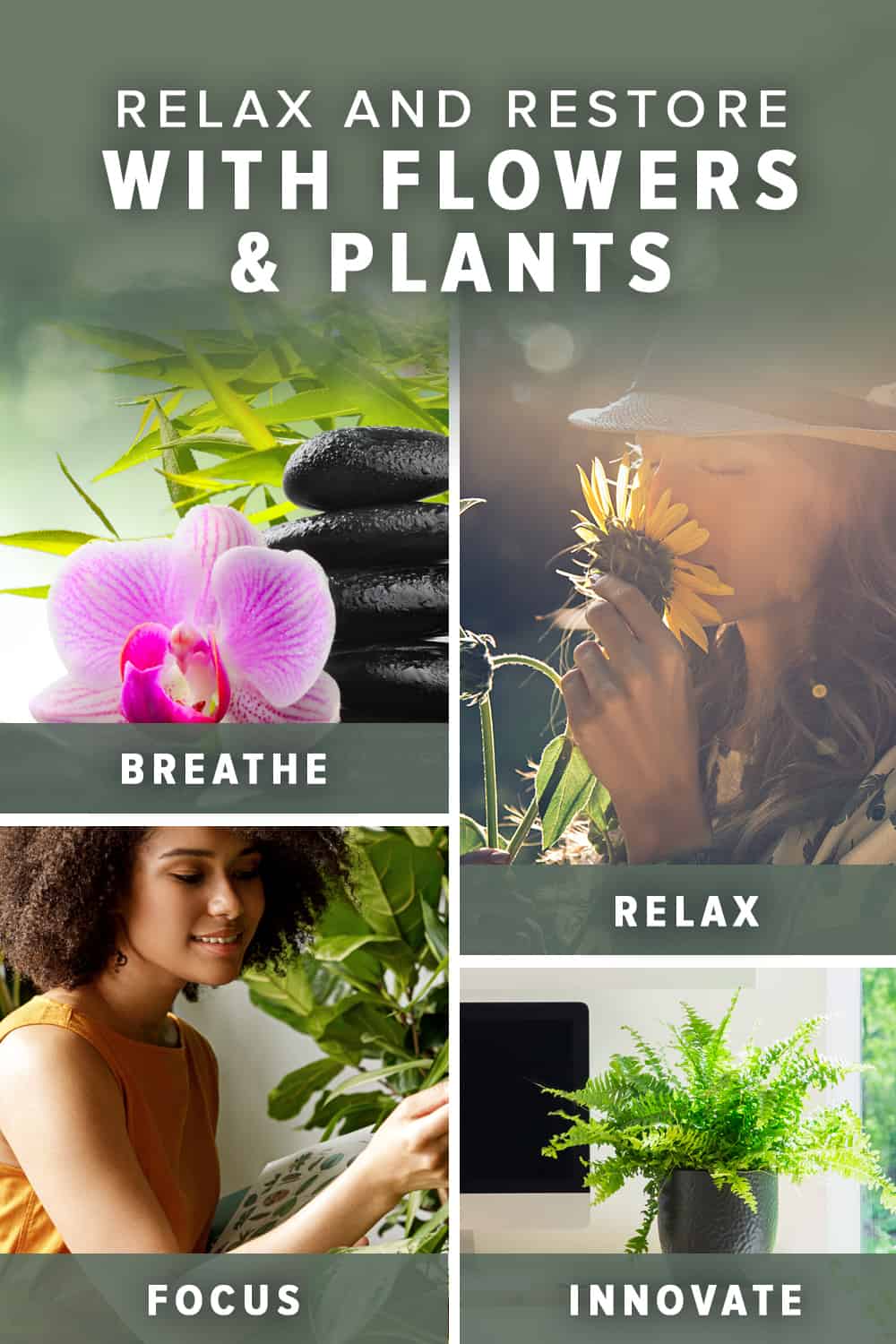 9 Ways Plants & Flowers Benefit Your Well-Being - Rose Hill Flowers ...